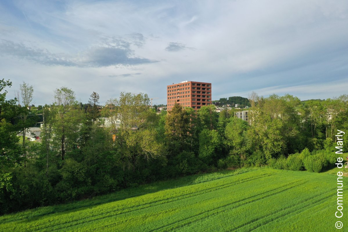 Commune de Marly – Association Régionale de la Sarine